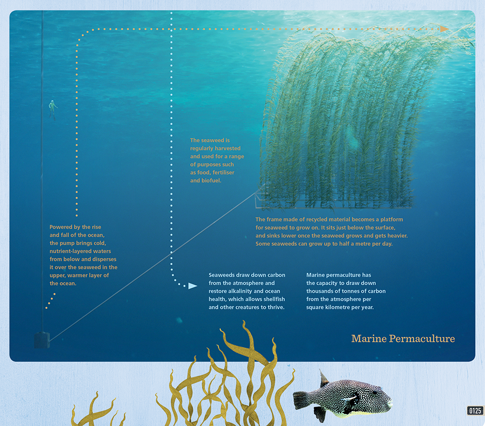 image on the board. Click here to download a high-resolution version ...