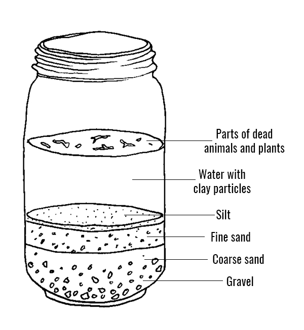 https www handyman net au 4 kids garden projects