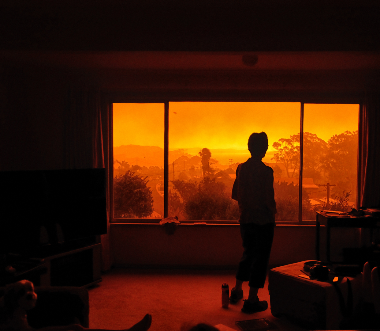 A Fire Inside Visual Language English Years 7 To 10 Cool Australia